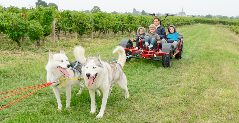 C'est parti pour une nouvelle saison avec Husky Dream | Kidiklik